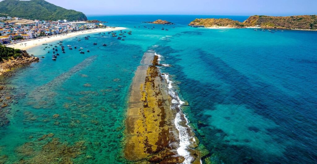 Mùa rong mơ Hòn Khô đẹp tựa cổ tích giữa đời thực Công ty du lịch Quy ...