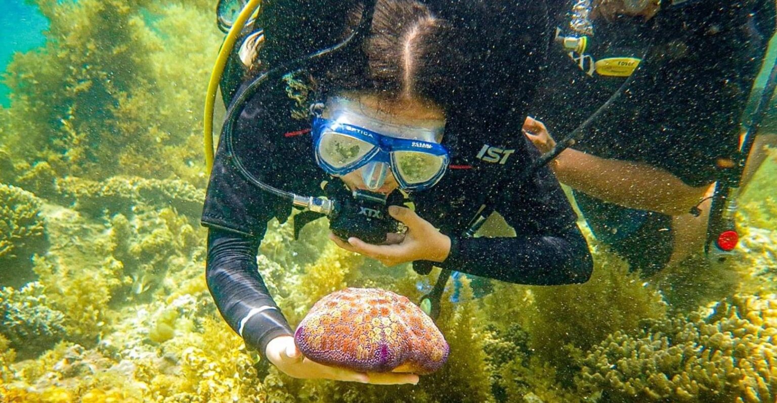 Mùa rong mơ Hòn Khô đẹp tựa cổ tích giữa đời thực Công ty du lịch Quy ...