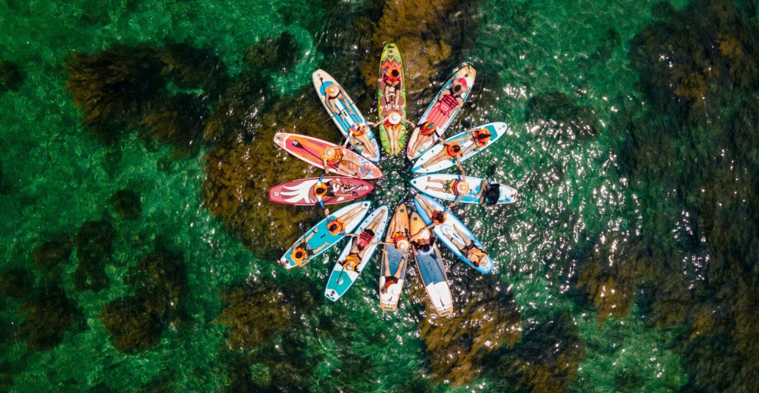 Mùa rong mơ Hòn Khô đẹp tựa cổ tích giữa đời thực Công ty du lịch Quy ...