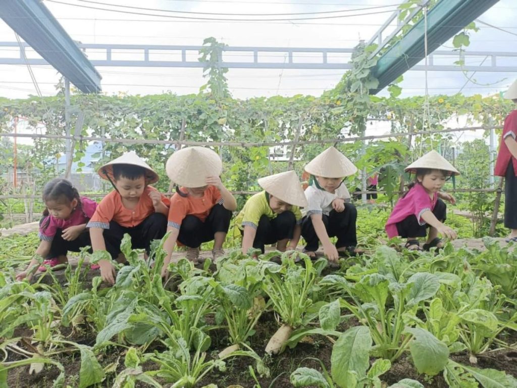 Tour học sinh nông trại Ca Oganic Farm nửa ngày: Trải nghiệm nghề làm ...